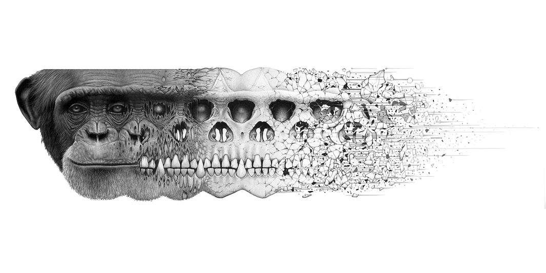 All Prints – Paul Jackson Artist